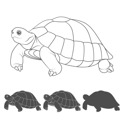 Turtle Cartoon Black and White Vector Images (over 5,500)