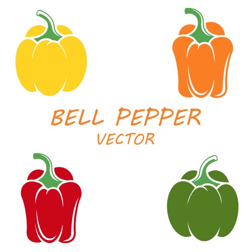 Bell pepper Royalty Free Vector Image - VectorStock