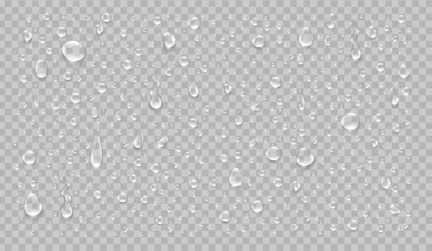 Transparent Vector Images (over 820,000)