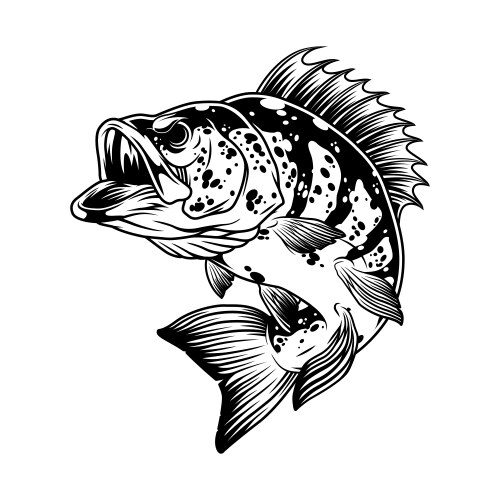 Bass fish colorful concept Royalty Free Vector Image