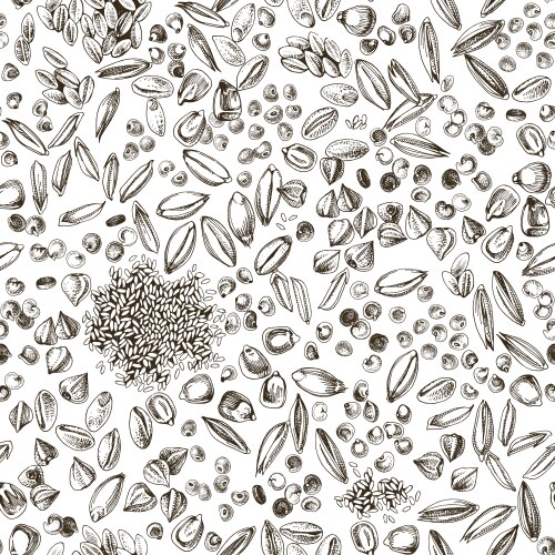 Teff Vector Images (over 190)