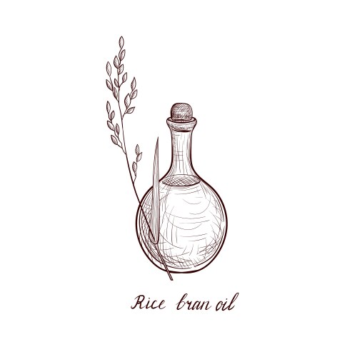 Rice Drawing Vector Images (over 8,300)