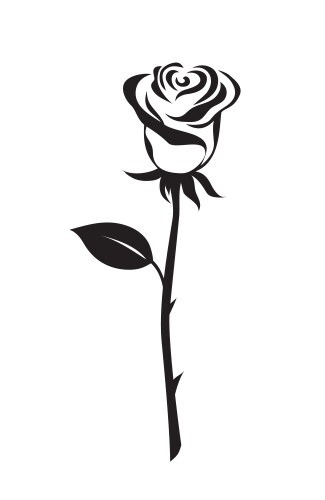 Rose Tattoo Stencil Vector Images (over 880)