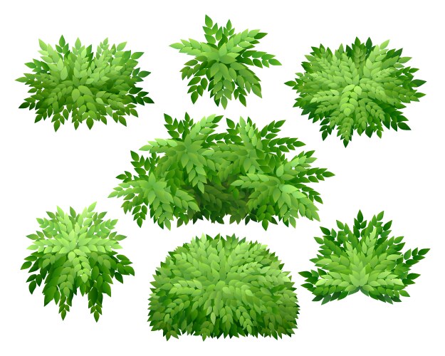 Bushes Vector Images (over 91,000)