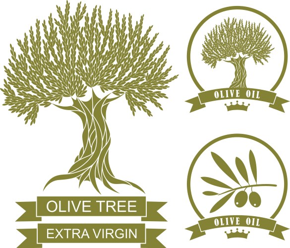 Olive Tree Vector Images (over 16,000)