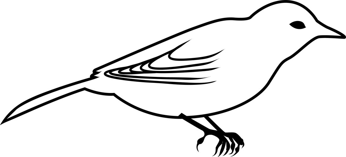 Doodle sketch bird Royalty Free Vector Image - VectorStock