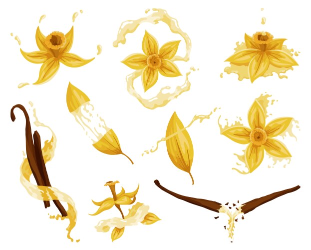 Vanilla Logo Vector Images (over 6,400)