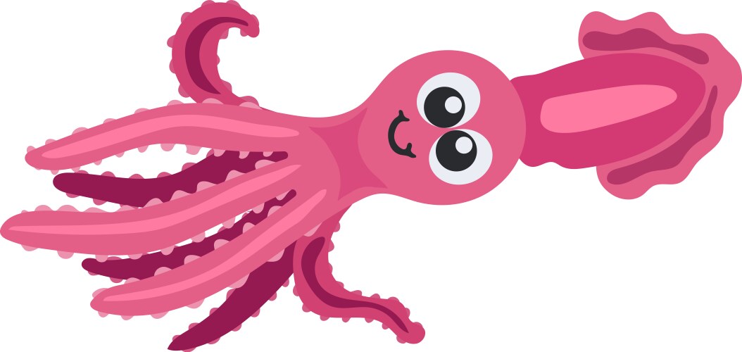 Squid Vector Images (over 19,000)
