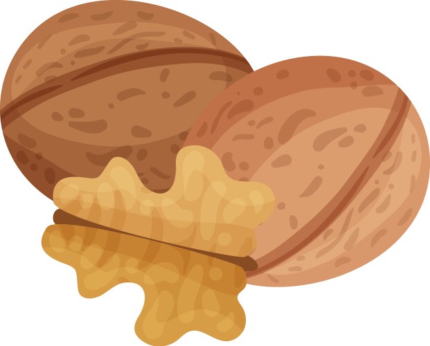 Walnuts icon cartoon style Royalty Free Vector Image