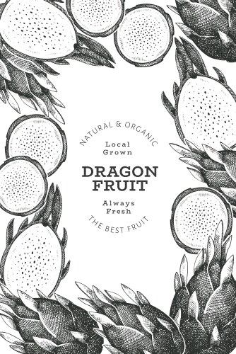 Hand drawn dragon fruit design template organic Vector Image