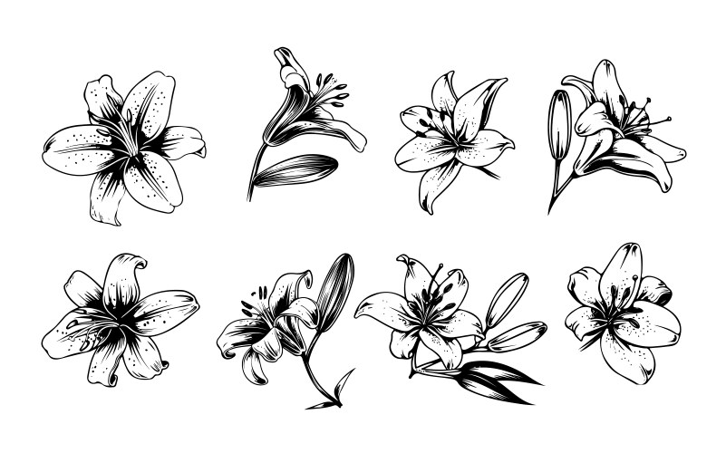 Wild flowers frame in boho style sketch hand drawn