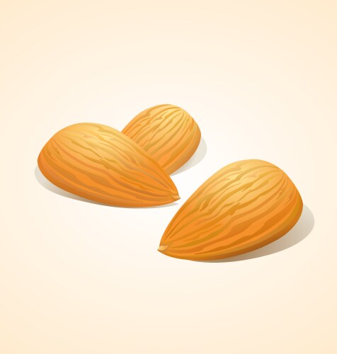 Almond Nut Vector Images (over 11,000)