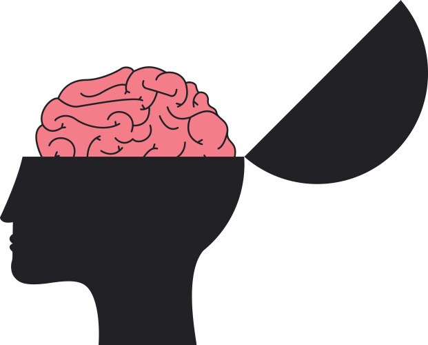 Silhouette brain inside open head drawing Vector Image