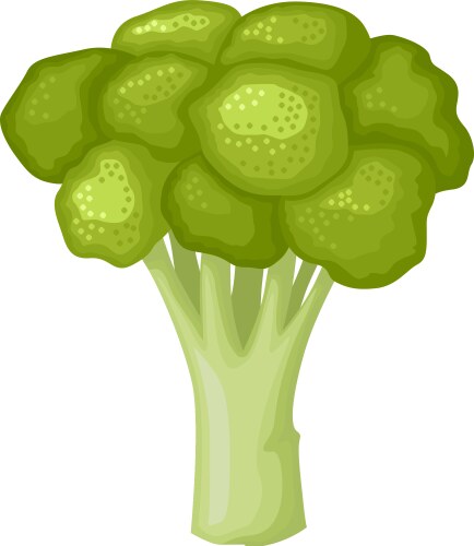 Broccoli vegetable cartoon Royalty Free Vector Image