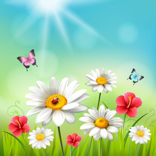 Daisy Vector Images (over 67,000)