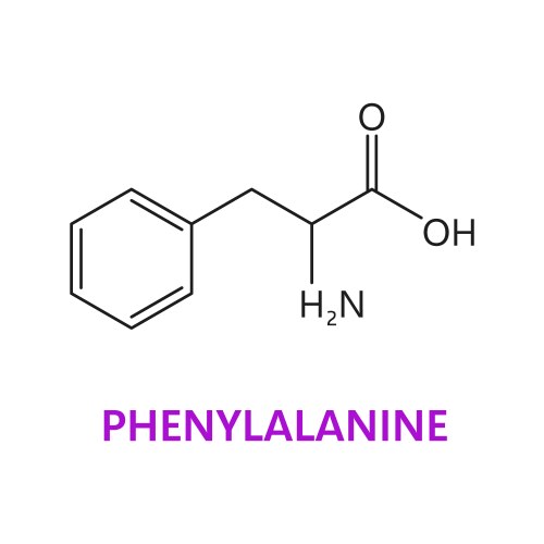 Phenylalanine amino acid chemical structure Vector Image