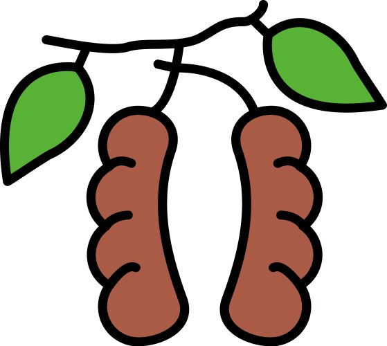 Tamarind outline Vector Images & Graphics for Commercial Use | VectorStock
