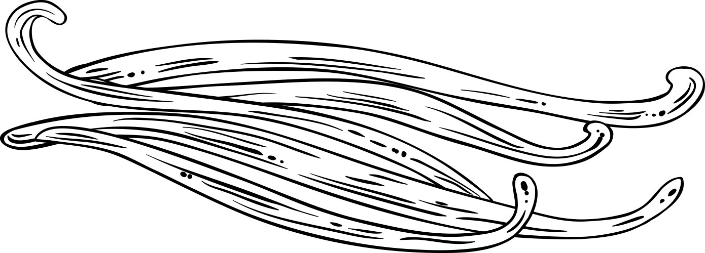 Vanilla Vector Images (over 67,000)