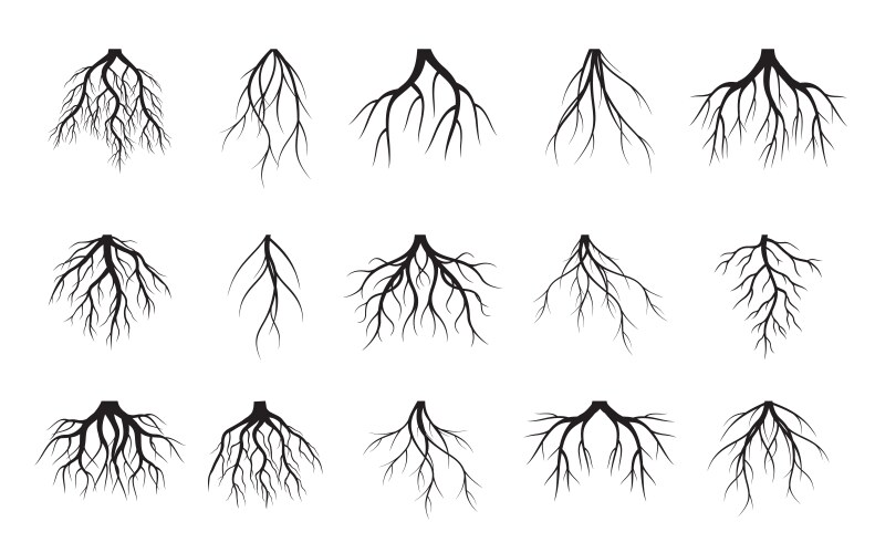 Tree Roots Black and White Vector Images (over 8,400)