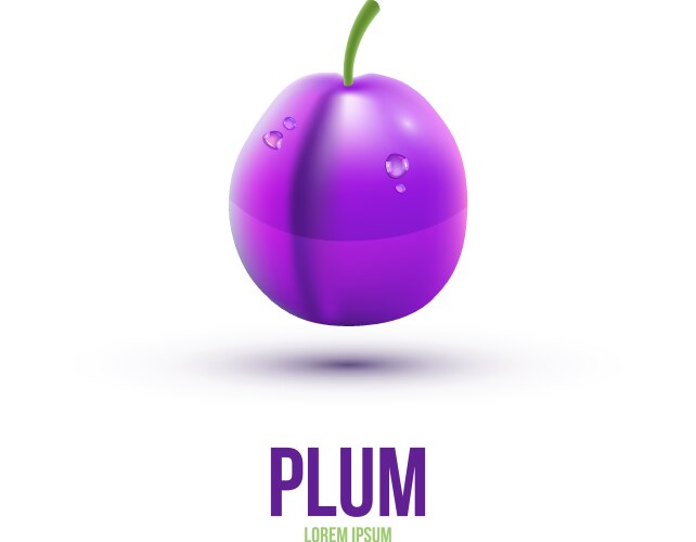 Quality realistic plum collection plums Royalty Free Vector