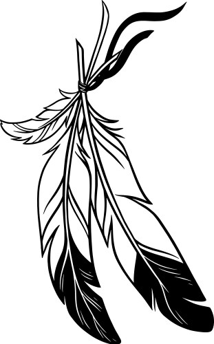 Traditional indian feathers Royalty Free Vector Image
