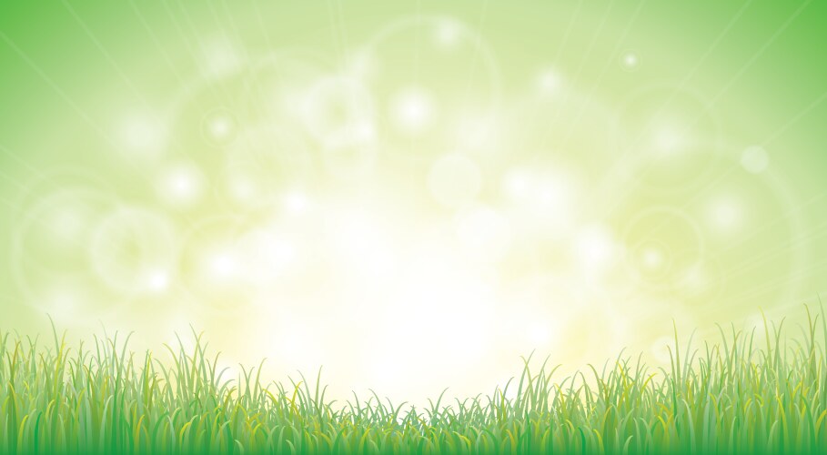 Summer poster with grass border Royalty Free Vector Image