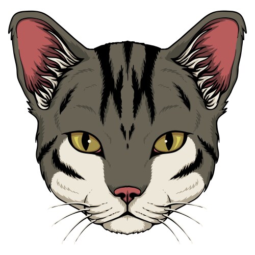Gray cat Royalty Free Vector Image - VectorStock