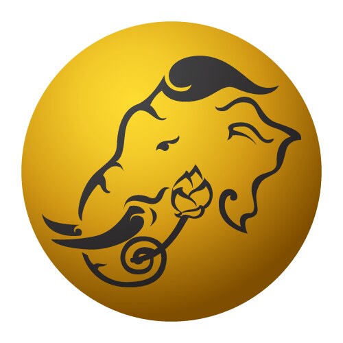 Lion of judah head - rastafarian reggae symbol Vector Image