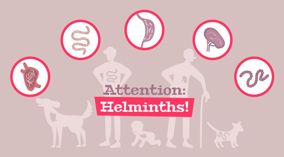 Helminth Vector Images (over 700)