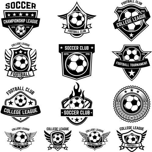 Set of soccer labels emblems and design elements Vector Image