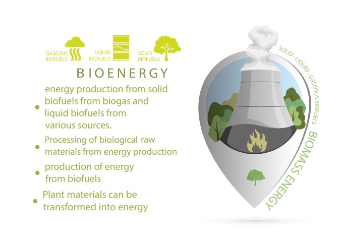 Biomass Sources Vector Images (over 590)
