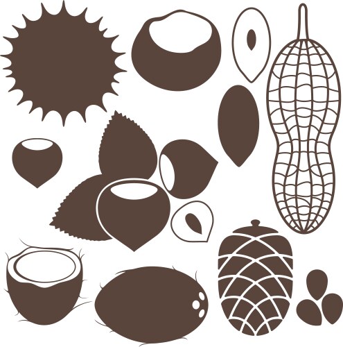 Different nuts set Royalty Free Vector Image - VectorStock