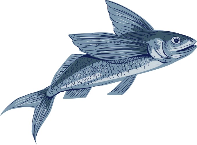 Fish Line Drawing Vector Images (over 30,000)