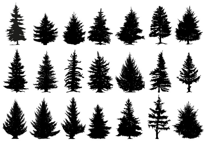Pine Tree Outline Vector Images (over 16,000)