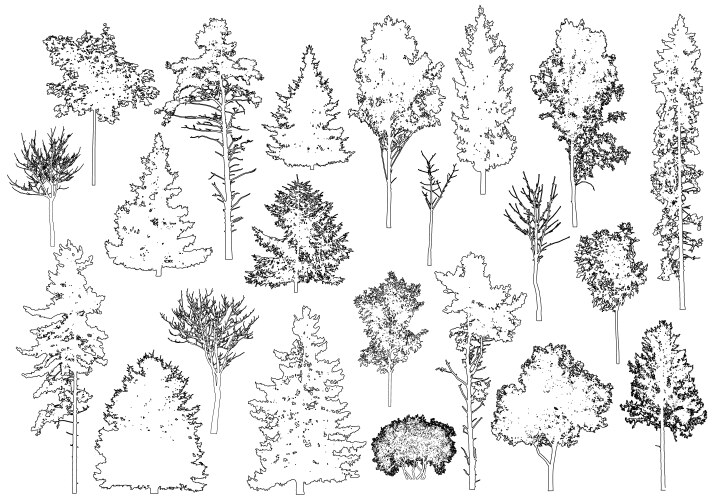 Set of treetop symbols for architectural or lands Vector Image