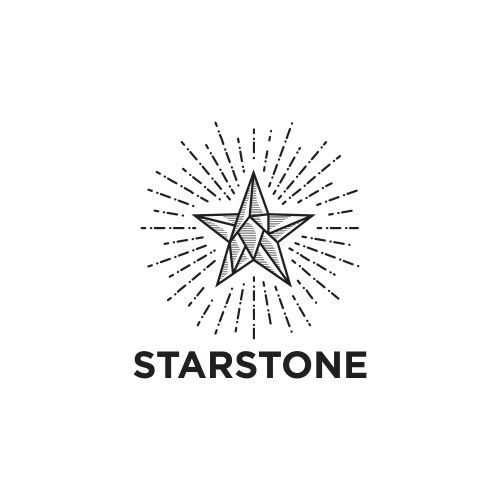 Modern star logo design template Royalty Free Vector Image