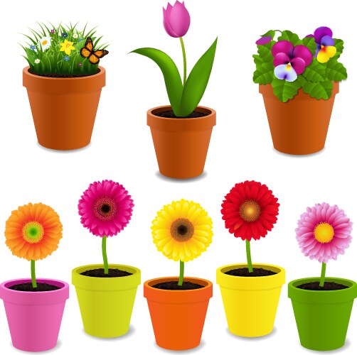 Flower pot Royalty Free Vector Image - VectorStock