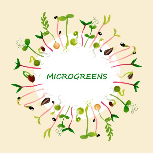 Microgreen Logo Vector Images (over 430)