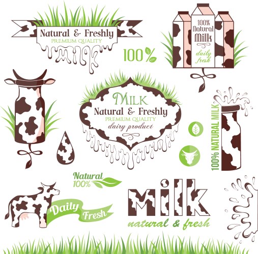 Milk dairy products infographic layout poster Vector Image