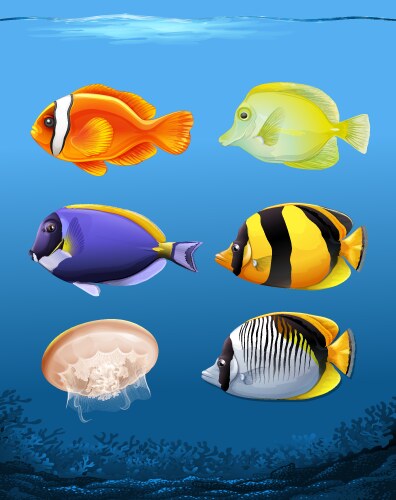 Fish theme frame 1 Royalty Free Vector Image - VectorStock