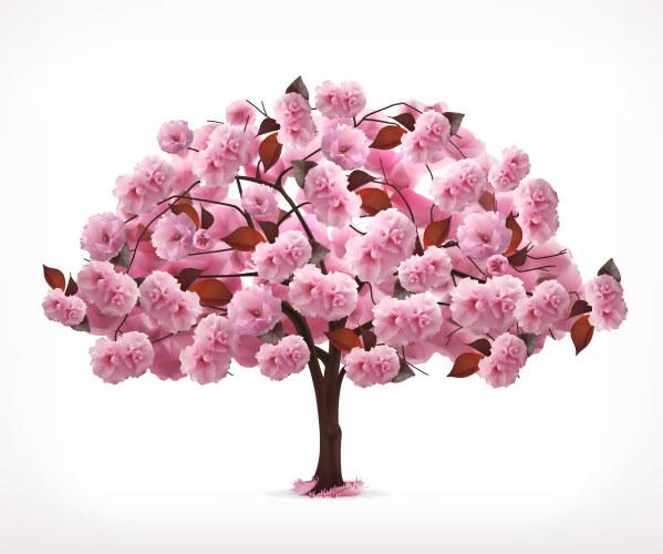 Spring Tree Vector Images (over 230,000)