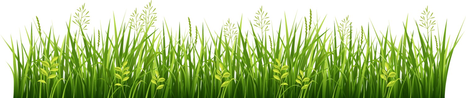 Grass Royalty Free Vector Image - VectorStock