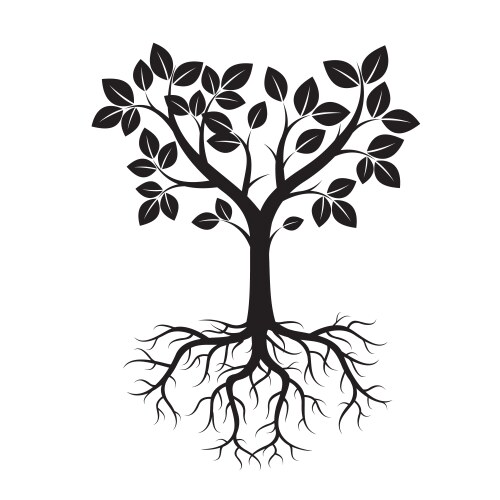 Tree Roots Black and White Vector Images (over 8,400)