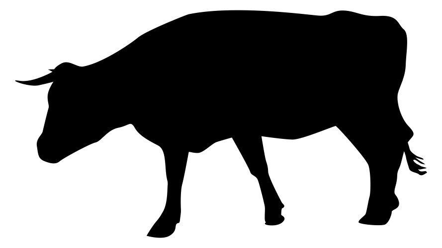 Cow Walking Vector Images (over 750)