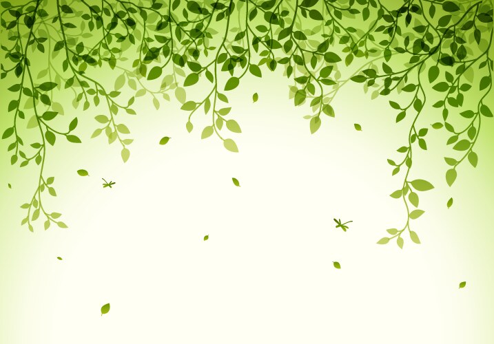 Green Leaves Background Vector Images (over 150,000)