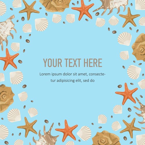 seashell outline border