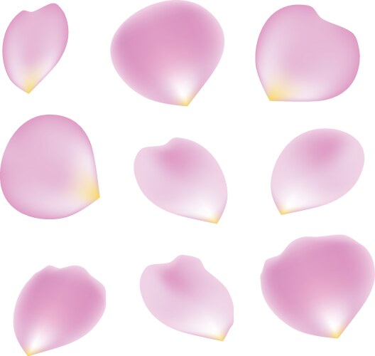 Petal Vector Images (over 340,000)