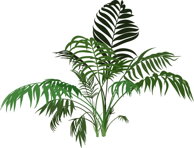 Palm Tree Vector Images (over 140,000)