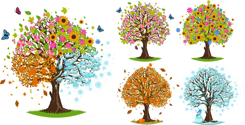 Spring summer autumn winter four seasons concept Vector Image