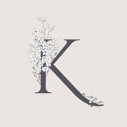 Hand drawn floral k monogram and logo Royalty Free Vector